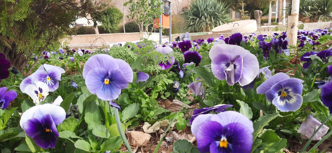 صفحه اصلی - دانشکده علوم